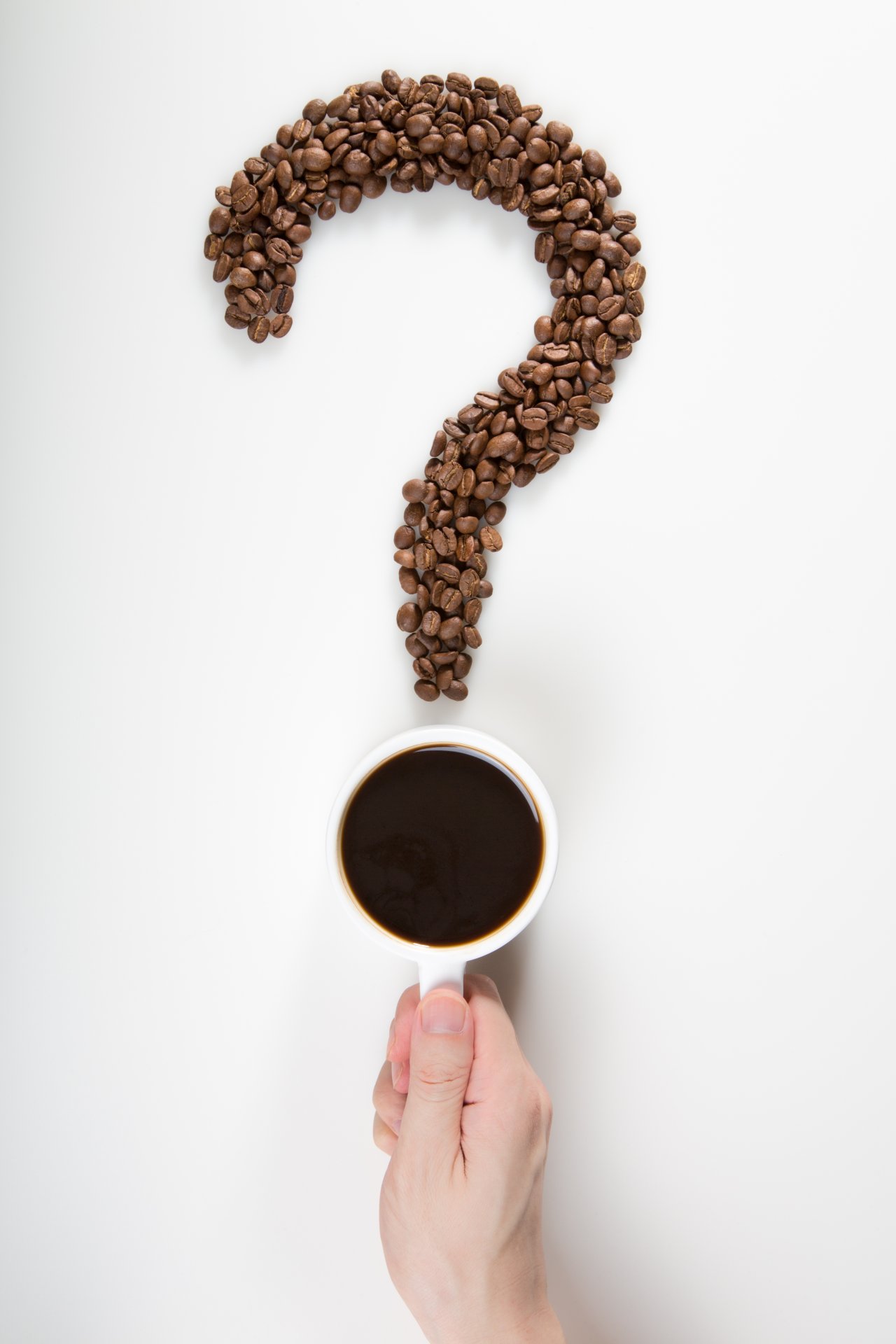 Understanding Your Coffee Taste: A Guide to Your Perfect Coffee Brew ...